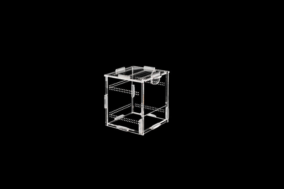 Acrylic Invert Housing – Exotic Enclosures